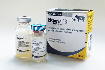 Rispoval 3 Zoetis Ie