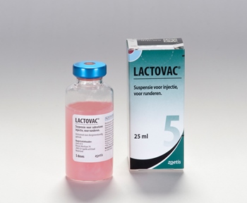 Lactovac | Zoetis NL
